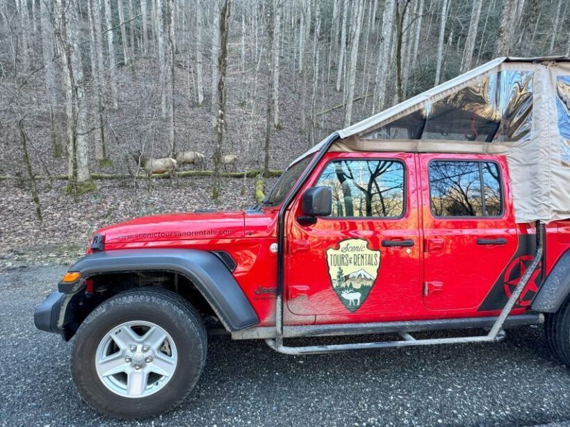 3.5-4 HR. Guided Safari Jeep Eco Waterfall Adventure - Who Should Consider This Tour