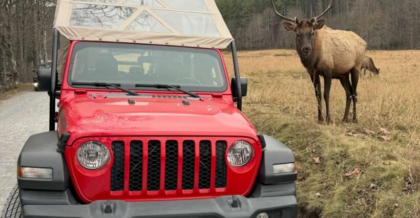3.5-4 HR. Guided Safari Jeep Eco Waterfall Adventure - The Value of This Experience