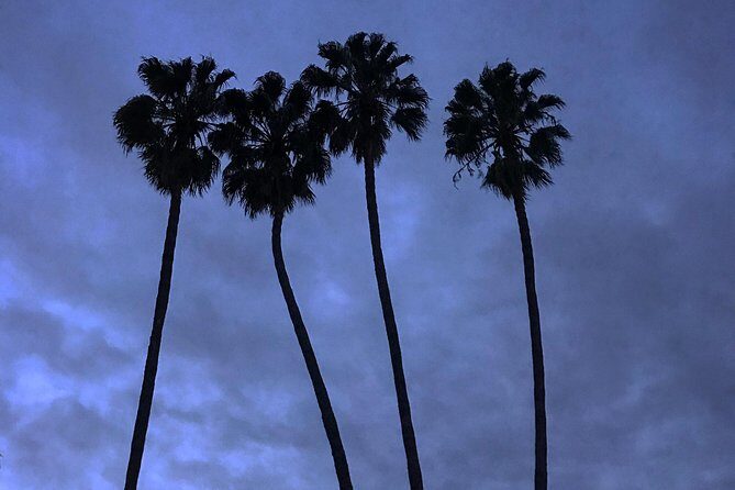 3.5 Hour Coastal Tour of Santa Monica, Venice Beach and Malibu - References