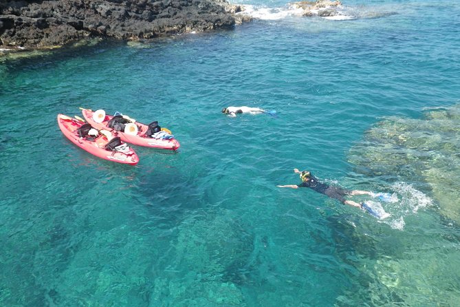 3.5 Hour Kailua-Kona Ocean Kayak and Snorkel Tour - Key Points