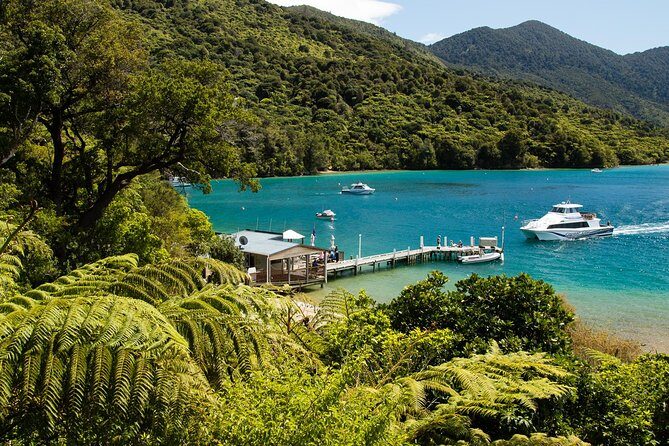 3.5 Hour Marlborough Sounds Delivery Cruise - The Itinerary in Detail: What to Expect