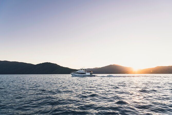 3.5 Hour Marlborough Sounds Delivery Cruise - Practical Details and Tips