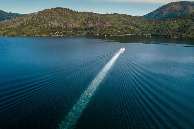 3.5 Hour Marlborough Sounds Delivery Cruise - Who Should Consider This Cruise?