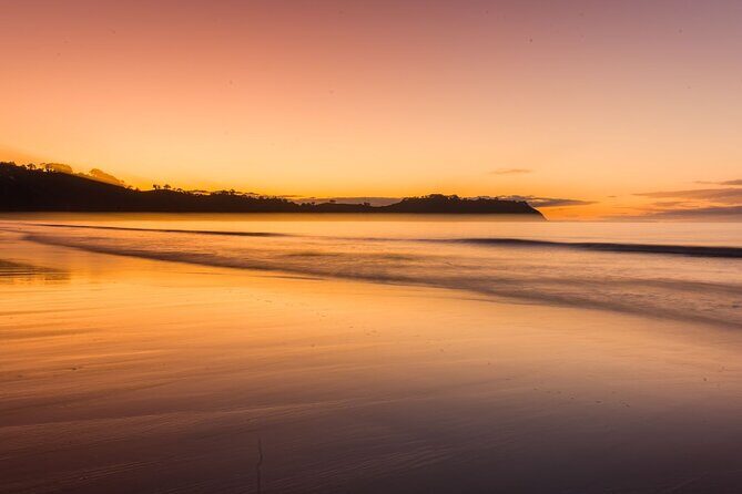 3.5 hour Sunset Tour on Waiheke Island - Exploring Waihekes Sunset Vineyard Experience