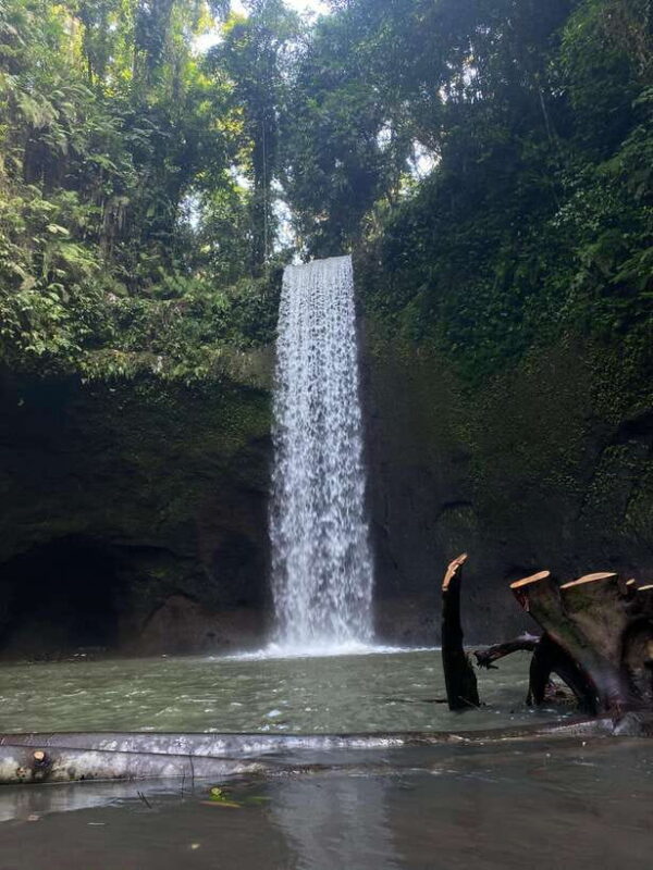 3 Best Watefalls, Temple and Rice terrace - Coffee and Cultural Insights