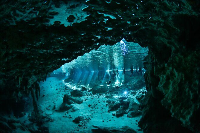 3 Cenote Dives - Casa & Dos Ojos - Introduction: An Authentic Underwater Adventure in Tulum
