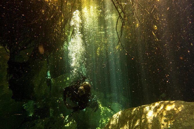 3 Cenote Dives - Casa & Dos Ojos - The Experience Through the Eyes of Past Participants