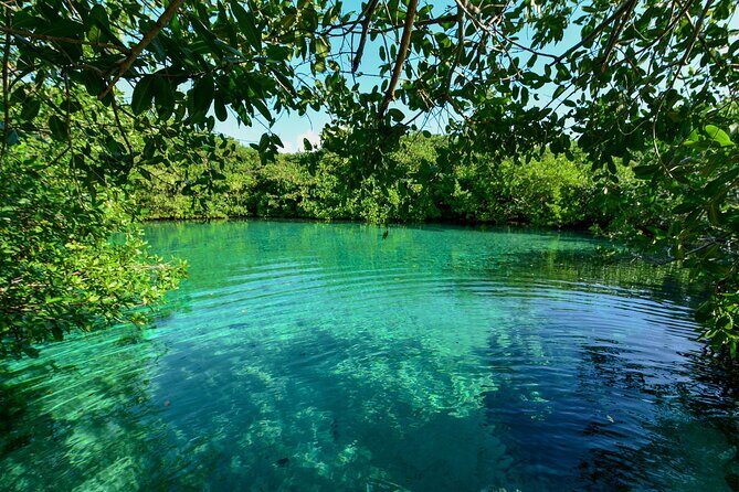 3 Cenote Dives - Casa & Dos Ojos - Practical Details: What You Need to Know