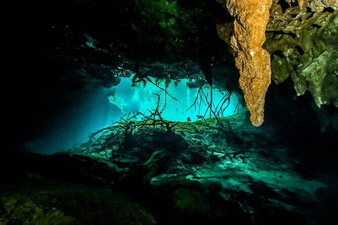 3 Cenote Dives - Casa & Dos Ojos - Who Should Consider This Tour?