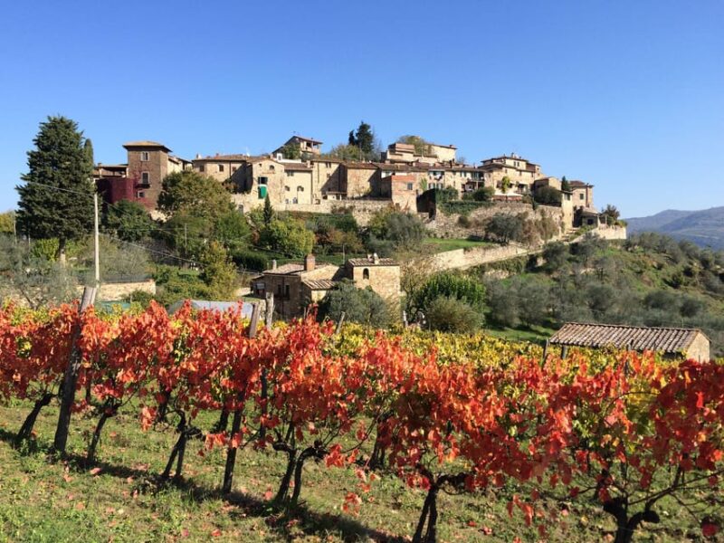 3 Chianti Wineries Private Tour from Florence or Siena - Why Choose the Private Chianti Wineries Tour?