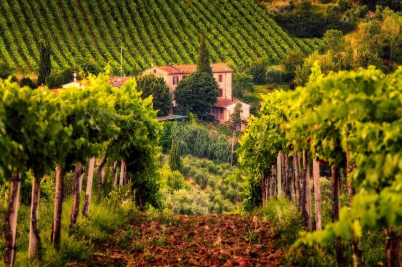 3 Chianti Wineries Private Tour from Florence or Siena - FAQs