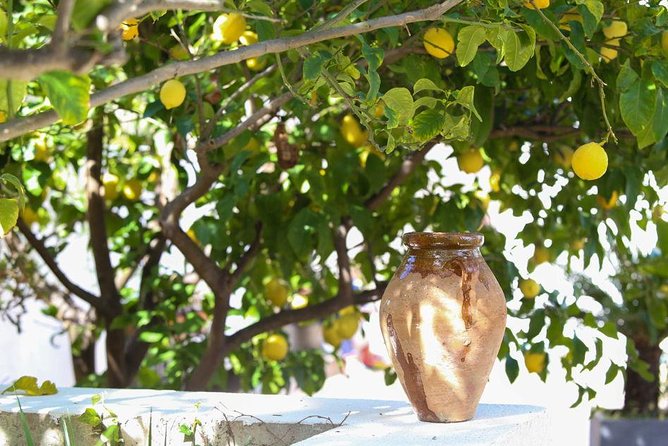 3-Course Organic Dinner in Garden with Views of French Riviera - Practical Details and Tips