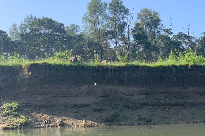 3-Day All Inclusive Chitwan Jungle Safari Tour From Kathmandu - Practical Tips for Future Travelers