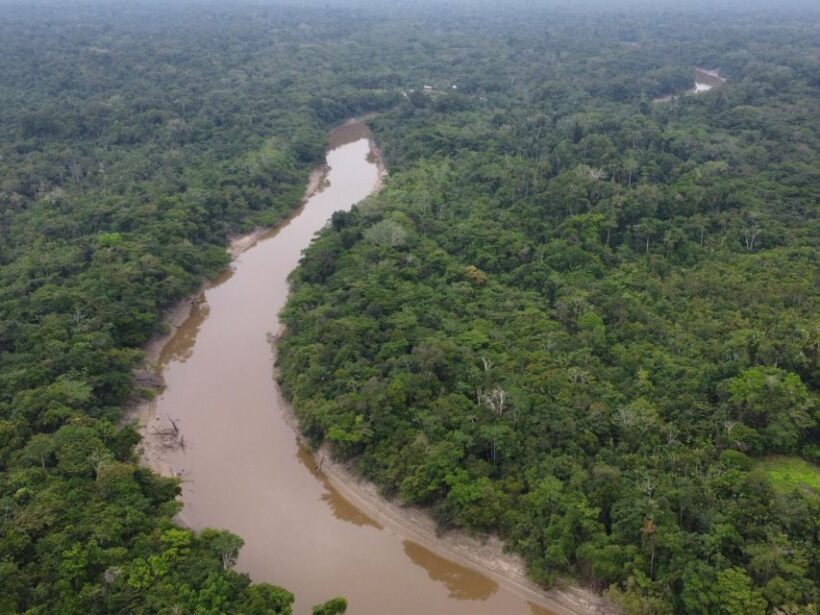 3-Day All Inclusive Guided Jungle Tour from Iquitos - Day 1: From Iquitos to Monkey Island and Beyond