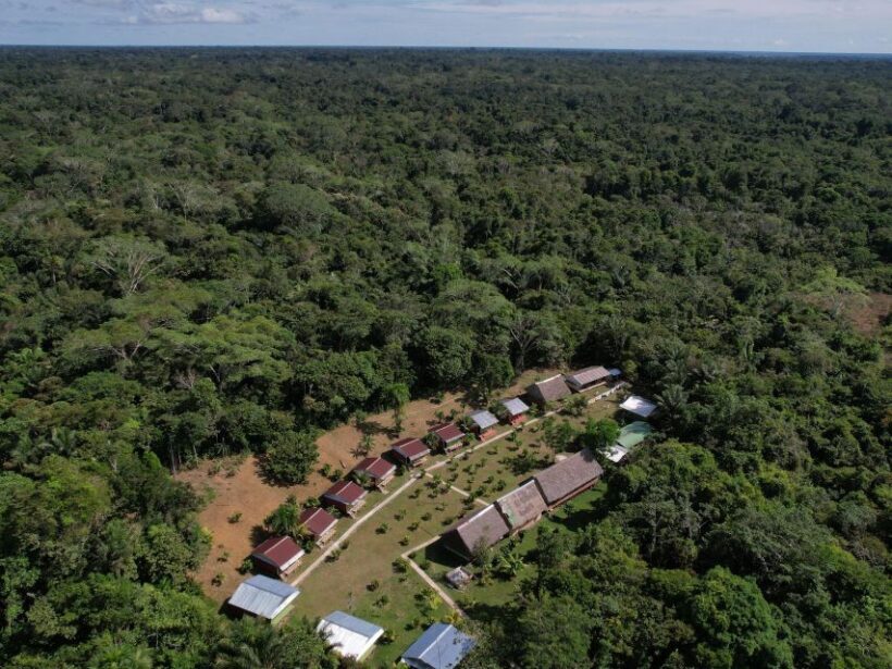 3-Day All Inclusive Guided Jungle Tour from Iquitos - Day 3: Jungle Hike and Indigenous Culture