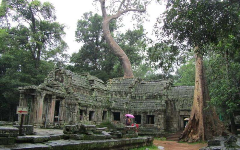 3-Day Angkor, Kompong Phluk & Roluos Temples Tour - What You Can Expect: An In-Depth Breakdown