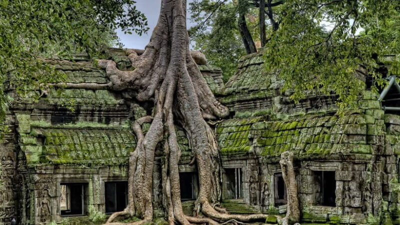 3-Day Angkor Wat & All Interesting Temples With Beng Mealea - Key Points
