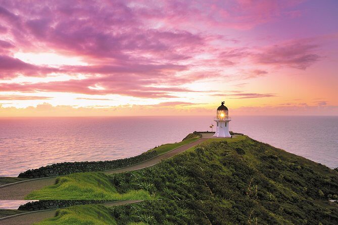 3 Day Bay Of Islands Tour from Auckland including Waitangi and Cape Reinga - An Introduction to the Tour