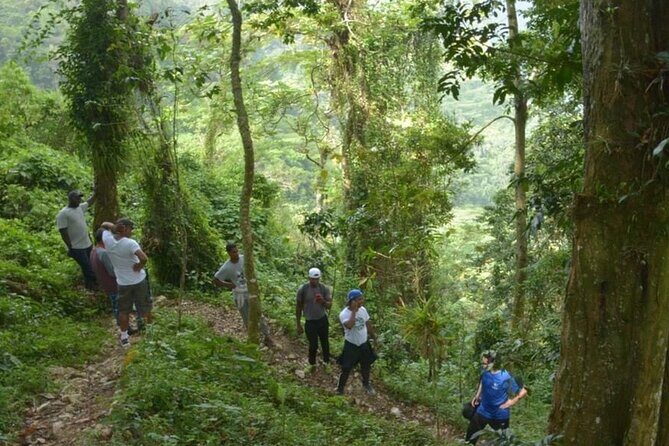 3-Day Bird Watching Tour in the Sierra de Bahoruco - Final Thoughts