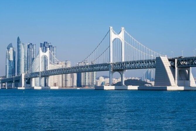 3-Day Busan Hidden area and Local foodie Tour with Pick Up - Final Thoughts