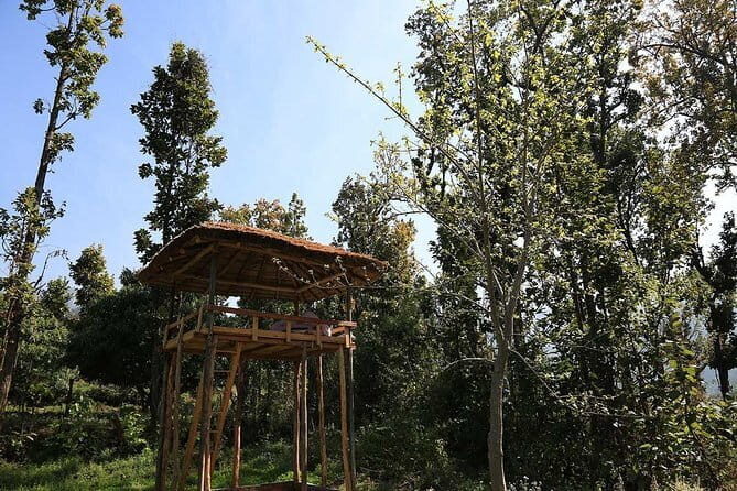 3 Day Camping Trip to Binsar Wildlife Sanctuary - FAQ