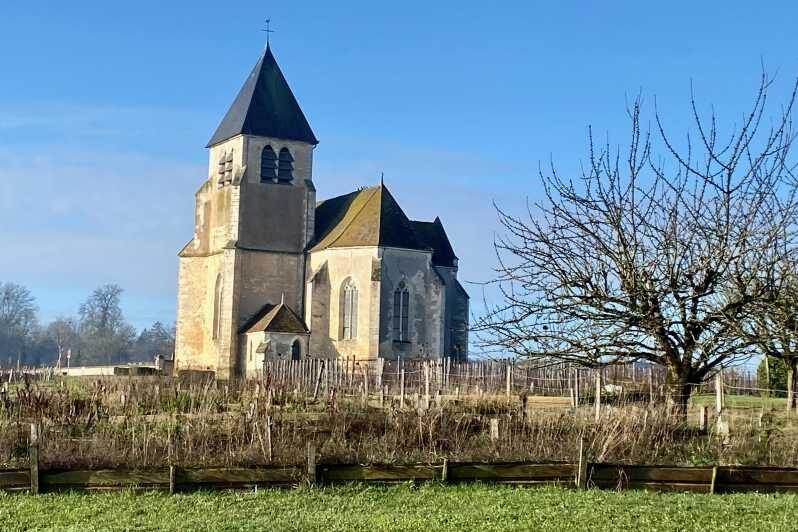 3-Day Castles, Champagne & Chablis Wine tasting Private Tour - A Taste of the Loire’s Most Famous Castles
