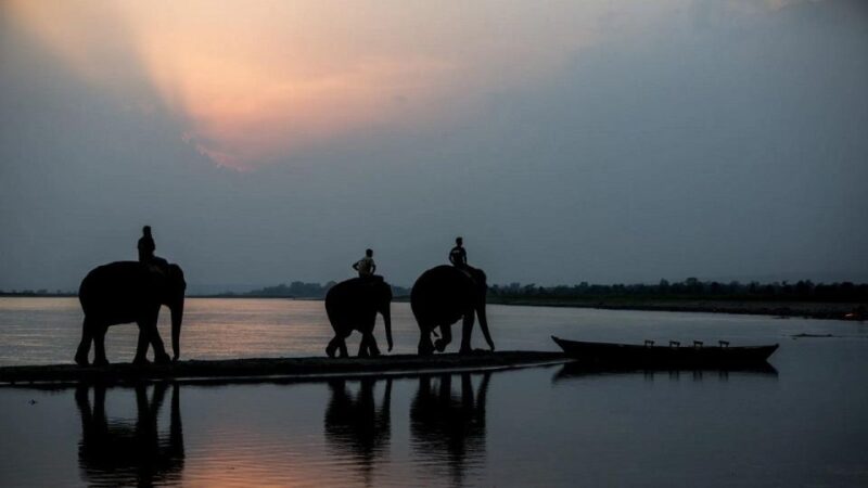 3-Day Chitwan Jungle Safari Adventure From Kathmandu/Pokhara - Authenticity and Reviews