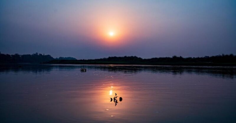 3-Day Chitwan Jungle Safari Adventure From Kathmandu/Pokhara - Who Should Consider This Tour?