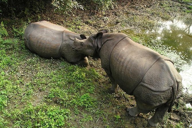 3-Day Chitwan Jungle Safari Tour from Kathmandu - Frequently Asked Questions