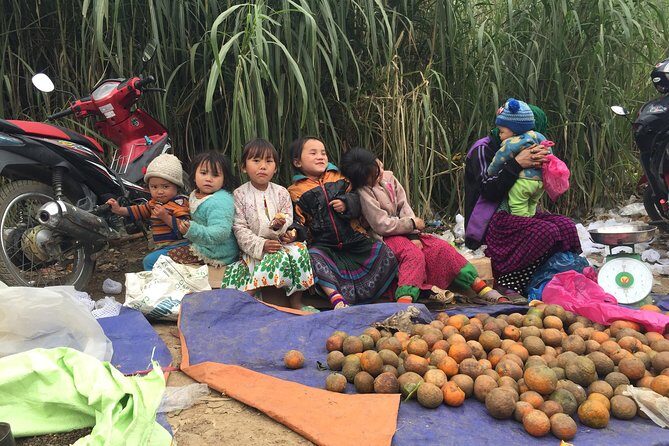 3-Day Discover Ha Giang Loop Tour From Hanoi - Authentic Experiences and Insights