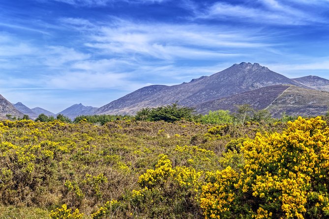 3-Day Discover Northern Ireland Small-Group Tour from Dublin - Practical Details and Traveler Experience