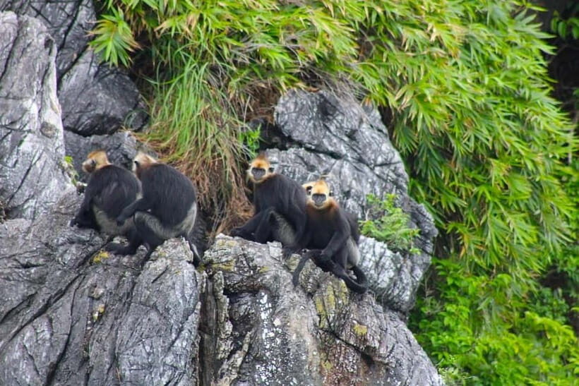 3-Day Discover the most stunning Cat Ba Island - Lan Ha Bay - Exploring Lan Ha Bay: The Heart of the Experience