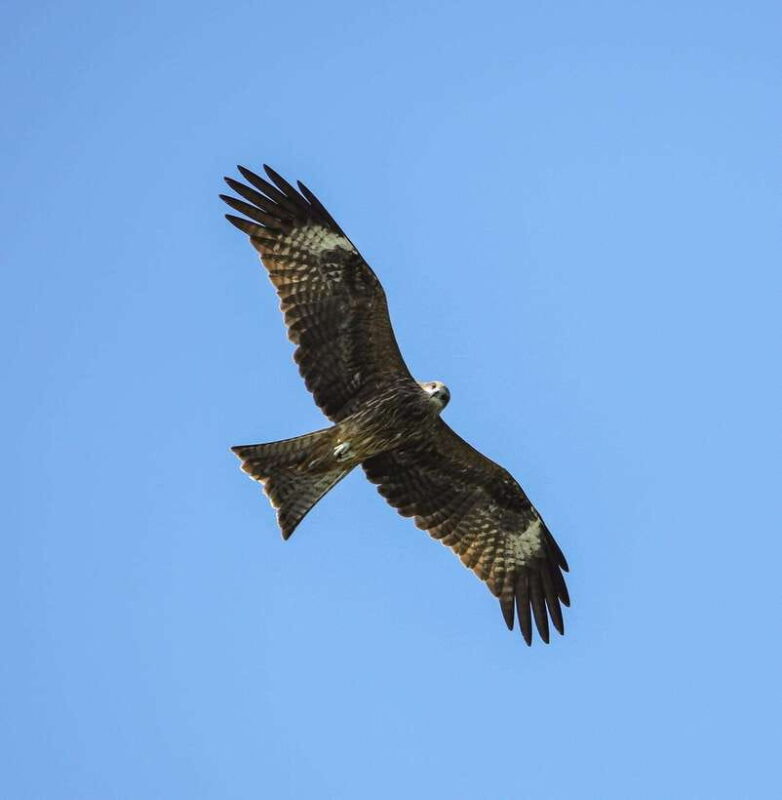 3-Day Discover the most stunning Cat Ba Island - Lan Ha Bay - Final Thoughts