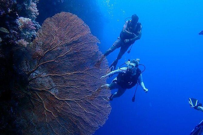 3 Day Dive Tour - Key Points