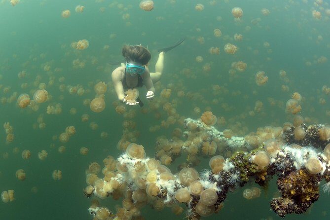 3 Day Dive Tour - The Experience in Detail