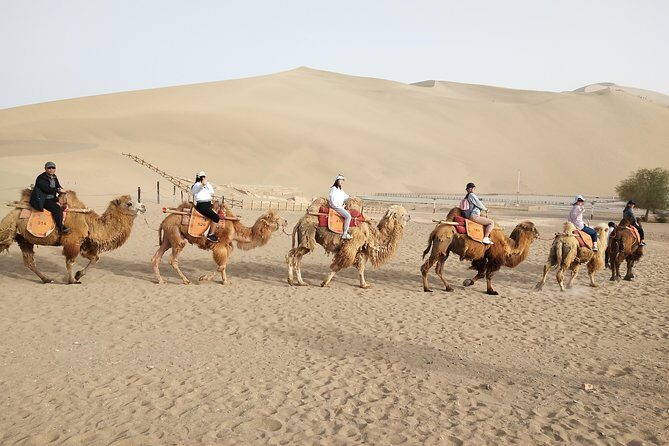 3-Day Dunhuang VIP Silk Road Tour: Mogao Grottoes and Han Great Wall - Who Should Consider This Tour?