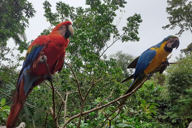 3-Day Eco-Sustainable Private Tour Manu National Park - Destination Highlights