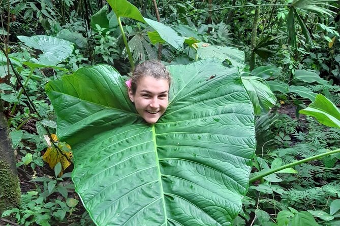 3-Day Eco-Sustainable Private Tour Manu National Park - Sustainable Practices