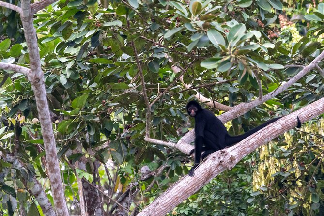 3-Day Eco-Sustainable Private Tour Manu National Park - Booking and Availability