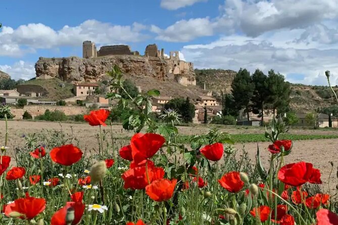 3 Day Foodies & Nature Lovers Tour; Medieval Village Near Madrid - Overall Value and Experience