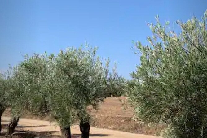 3 Day Foodies & Nature Lovers Tour; Medieval Village Near Madrid - Final Thoughts