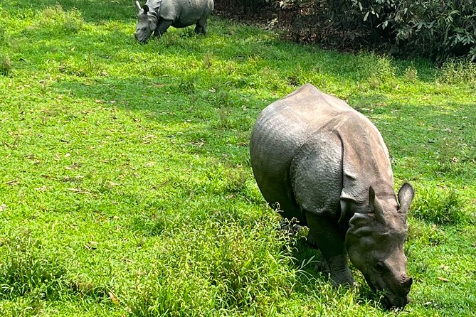 3-Day Guided Safari Tour in Chitwan National Park in Nepal - Key Points