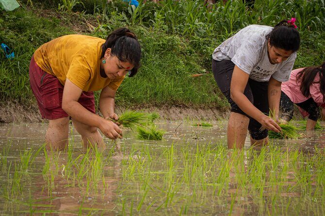 3-Day Guided Tour in Nagarkot with Ropain Festival Experience - FAQ