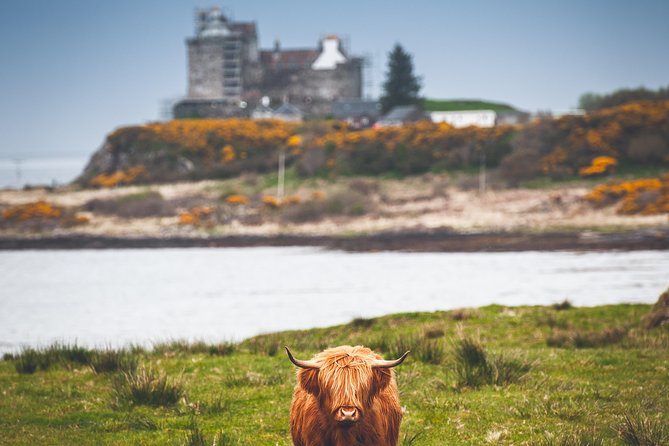 3-Day Isle of Mull and Iona Small-Group Tour From Glasgow - The Isle of Iona Experience