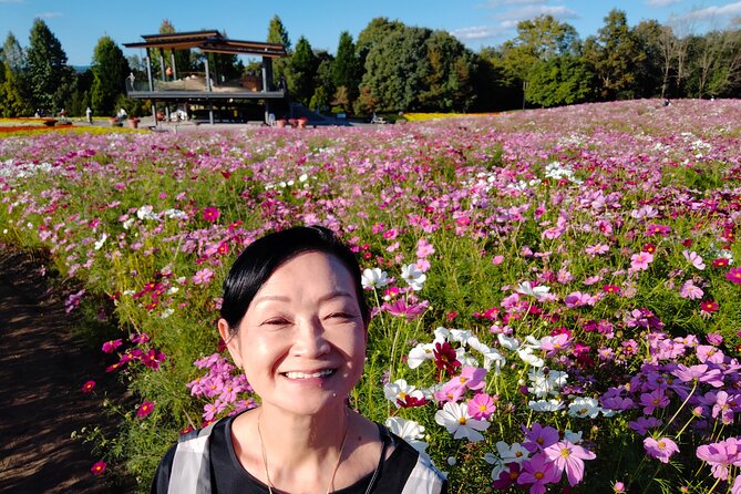 3 Day Japan Highlights Tour: Tokyo, Mt.Fuji, Nara, Kyoto, Osaka - Inclusions and Accommodations