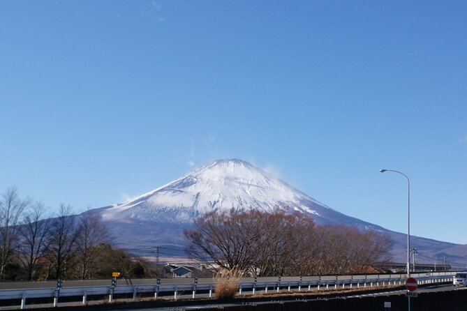 3 Day Japan Highlights Tour: Tokyo, Mt.Fuji, Nara, Kyoto, Osaka - Meeting and Pickup Details