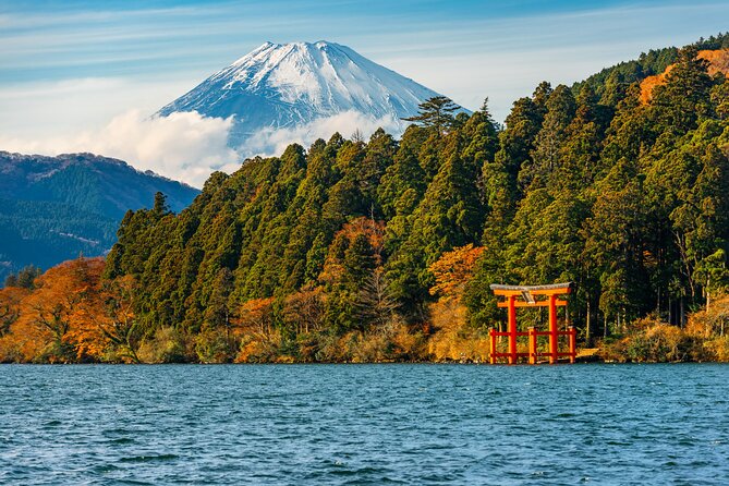 3 Day Japan Highlights Tour: Tokyo, Mt.Fuji, Nara, Kyoto, Osaka - Tour Experience and Activities