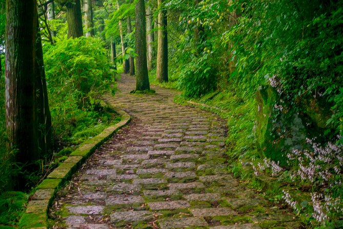 3 Day Japan Highlights Tour: Tokyo, Mt.Fuji, Nara, Kyoto, Osaka - Flexibility for Personal Interests