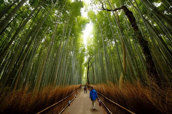 3 Day Japan Tour Kyoto, Osaka & Nara from Tokyo - An Overview of the Itinerary and What You Can Expect