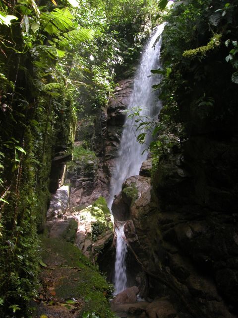 3 Day Jungle Tour Expedition Amazonia Ecuador All included - Considerations and Practicalities